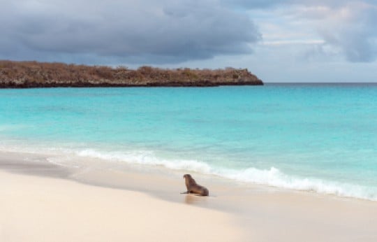 10 most beautiful beaches in Genoa | Costa Cruises