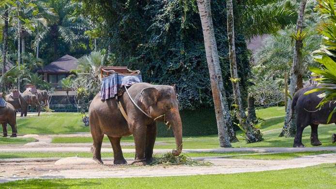 24 best things to do and see in Bali | Costa Cruises