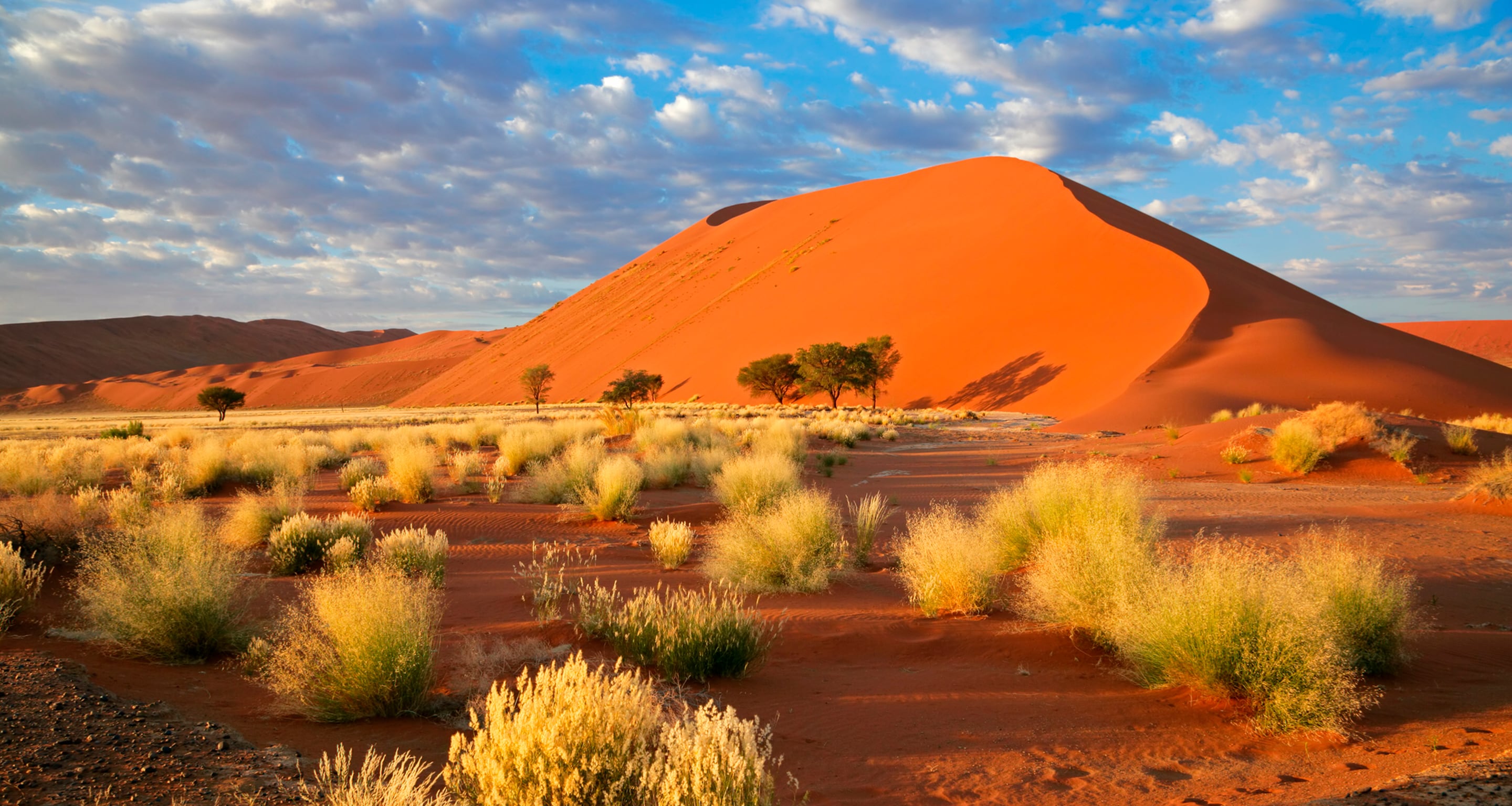 Cruises to Namibia: Departures & Deals | Costa Cruises