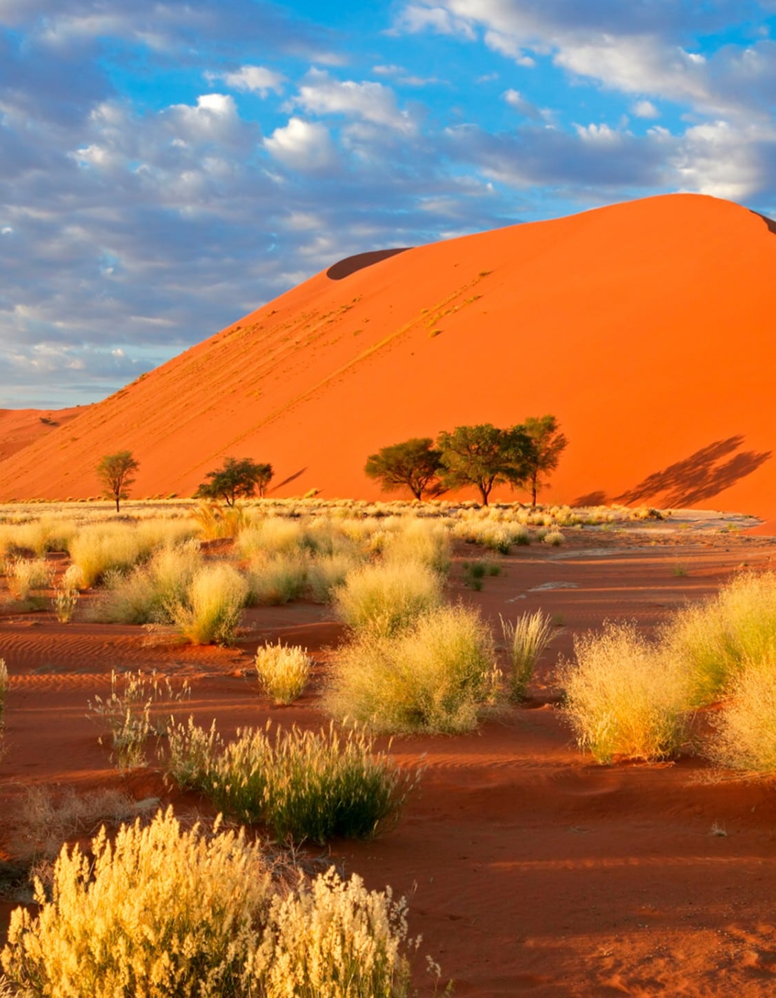 Cruises to Namibia: Departures & Deals | Costa Cruises