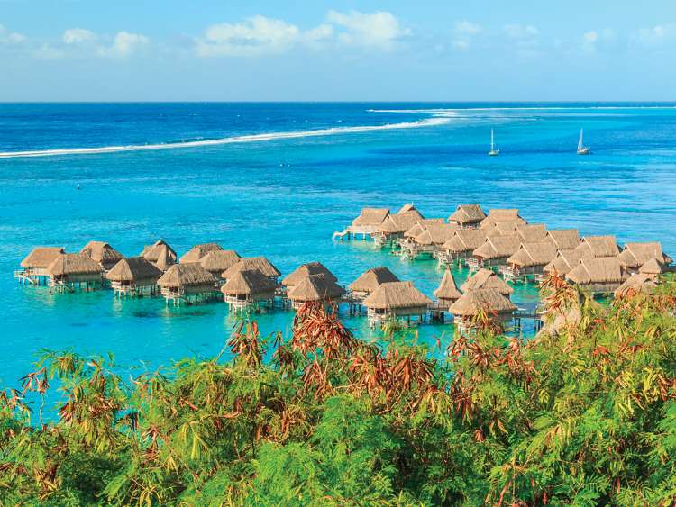 French Polynesia Cruise: promos and offers | Costa Cruises